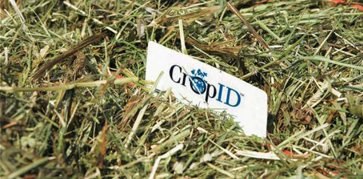 Harvest Solutions - Haley Equipment, Inc. - Carroll, Iowa