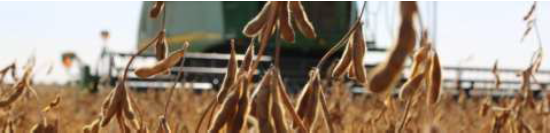 Harvest Solutions - Haley Equipment, Inc. - Carroll, Iowa